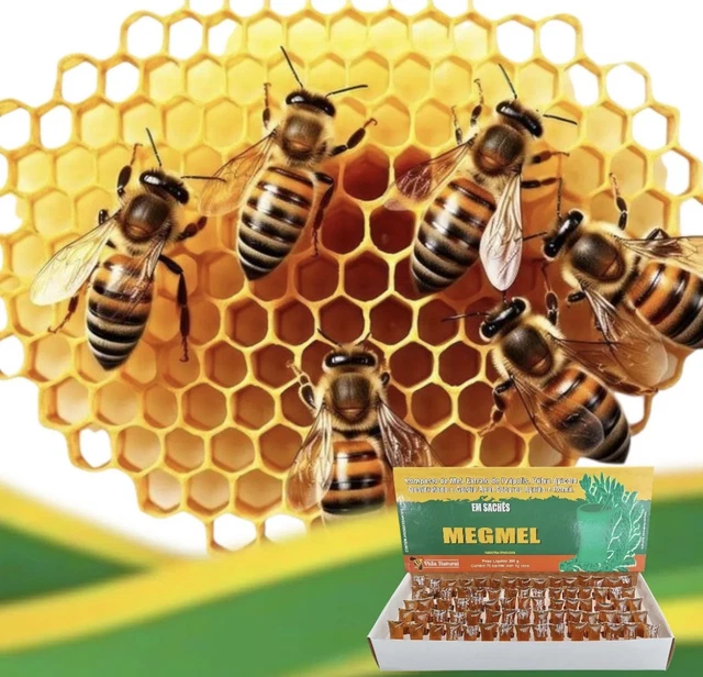 MEGMEL BRAZILIAN HONEY Sachet Blend - Propolis, Royal Jelly & Bee ...