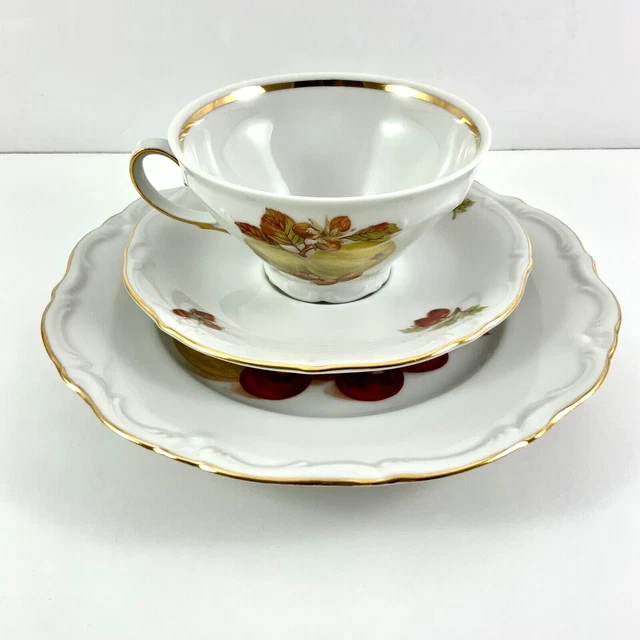 VINTAGE WINTERLING WEST Germany Gold Trim Tea Cup & Saucer Trio Fruit ...