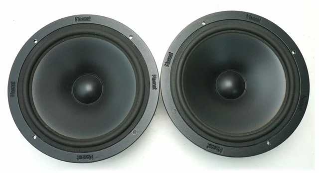 1 STÜCK !!! Tieftöner Magnat Zero 4 Vifa P21WN-11 EUR 36,99 - PicClick DE