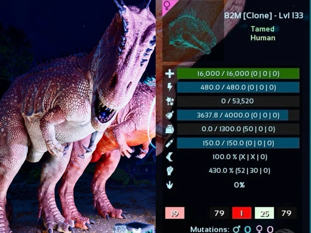 ARK SURVIVAL ASCENDED pve 430% Base Melee Carcharontosaurus, Clone EUR ...