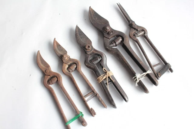 5 ANCIENS SÉCATEURS (70216) EUR 58,00 - PicClick FR