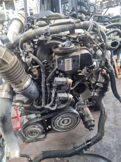 MOTEUR NISSAN NAVARA NP300 10102-01Q3H EUR 2.800,00 - PicClick FR