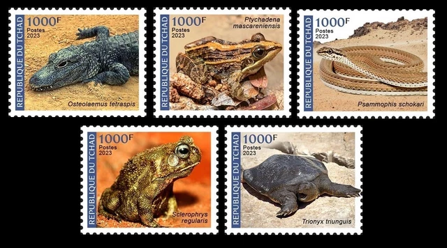 CHAD 2023 SET 5V Reptiles - Crocodile Frog Frogs Toad Snakes Turtles ...