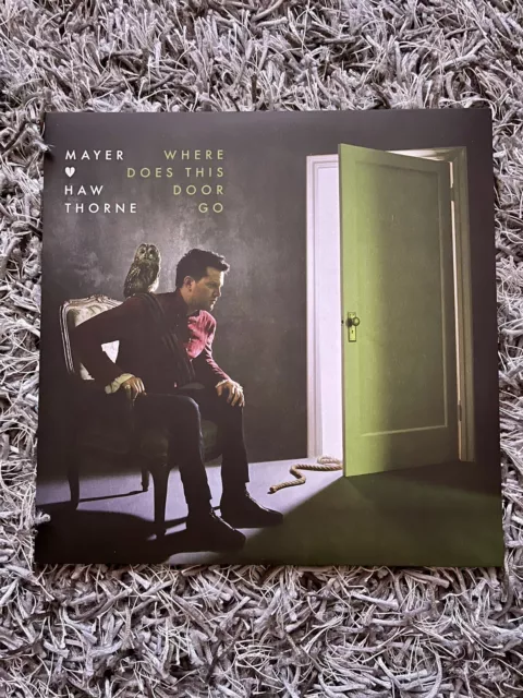 MAYER HAW THORNE Where Does This Door Go LP EUR 25,00 - PicClick FR