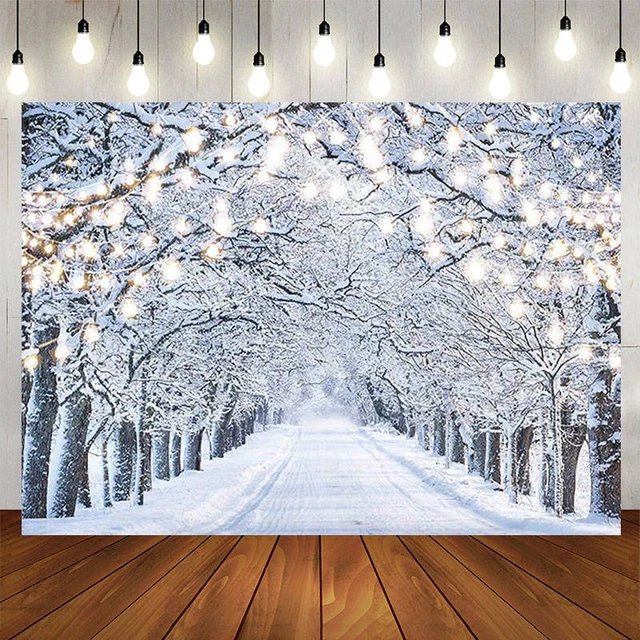 SPARKLE LIGHT SNOWY Forest Path Bokeh Party Backdrop $37.90 - PicClick AU