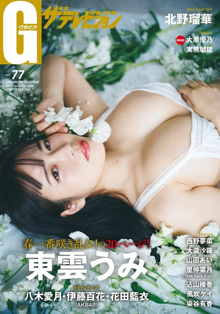 GRAVURE THE TELEVISION vol.77 Umi Shinonome Japanese Idol magazine Japan £30.52 - PicClick UK