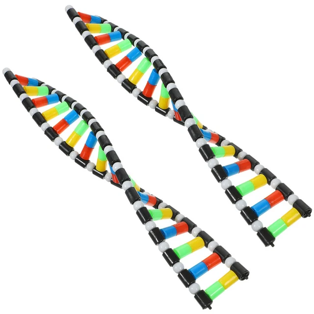 2 SETS DNA Double Helix Model Biology Learning Models DIY Kit £21.65 ...