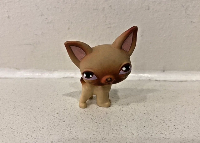 LITTLEST PET SHOP Chihuahua 1 (Rare) Collectors LPS 2004 Dog Authentic ...