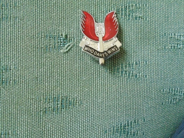 OLDER SAS REGIMENT - Who Dares Wins - Military Enamel Lapel Pin Badge £ ...