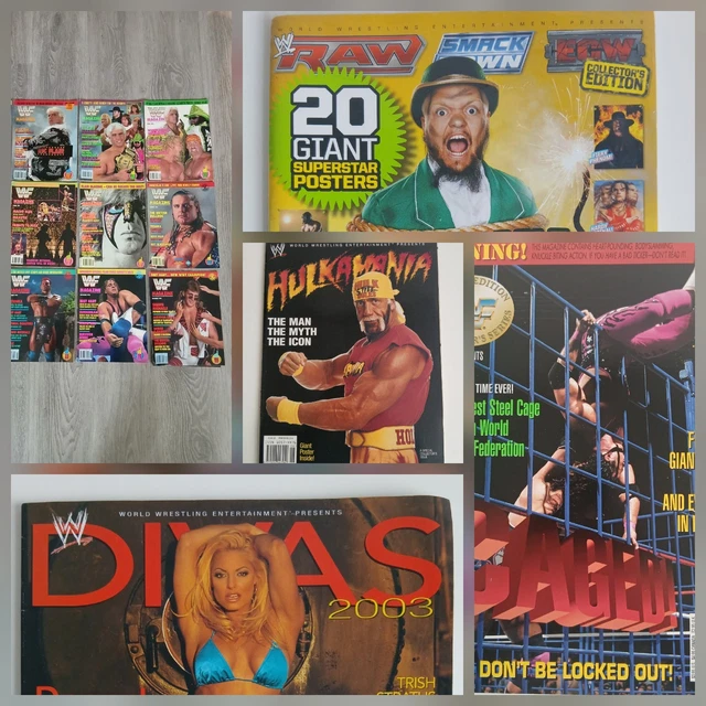 WRESTLING MAGAZINES PROGRAMS Books Posters Calendars - WWE WWF NWO ECW ...
