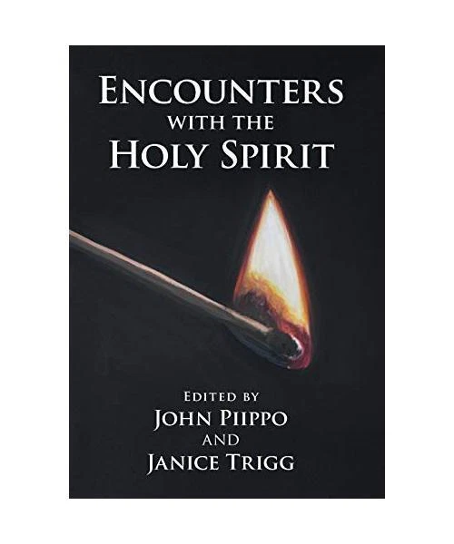 ENCOUNTERS WITH THE Holy Spirit, John Piippo EUR 25,24 - PicClick FR