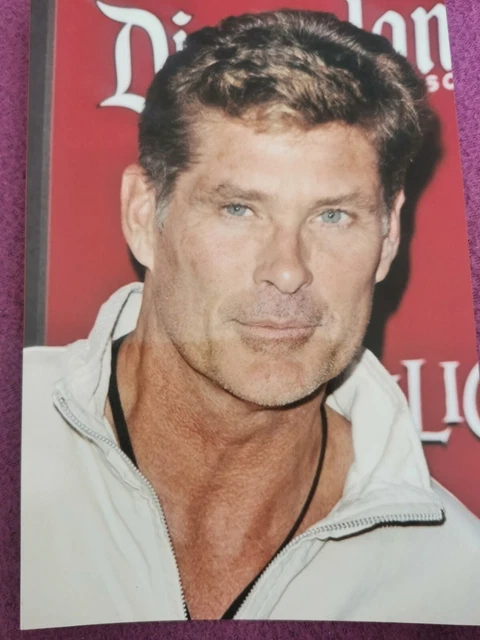 DAVID HASSELHOFF BAYWATCH Knight Rider Foto Photo 12,5x19 cm EUR 95,00 ...