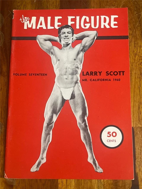 THE MALE FIGURE bodybuilding muscle beefcake magazine LARRY SCOTT Volume 17 £19.88 - PicClick UK