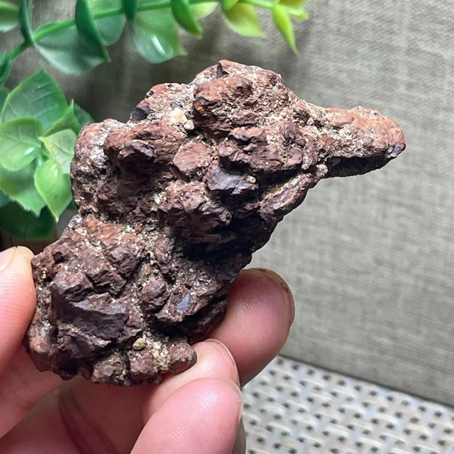 rare-fecal-dinosaur-coprolite-dung-poop-rough-mineral-specimen-58g