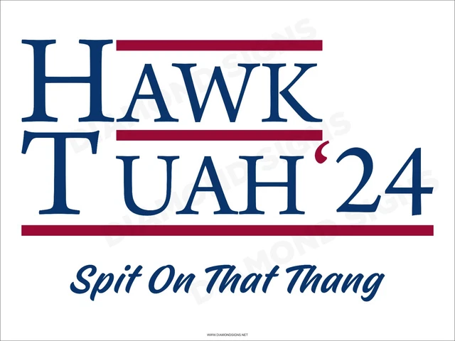HAWK TUAH 2024 Funny Chant Lawn Sign 18x12 Double Sided £17.86 ...