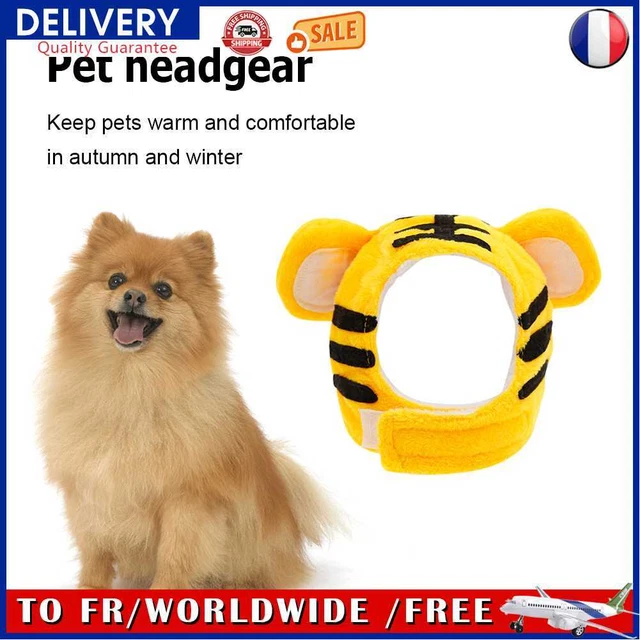 CHAT DE DESSIN animé Cross-Dressing Hat Photo Props Soft Polyester Pet ...