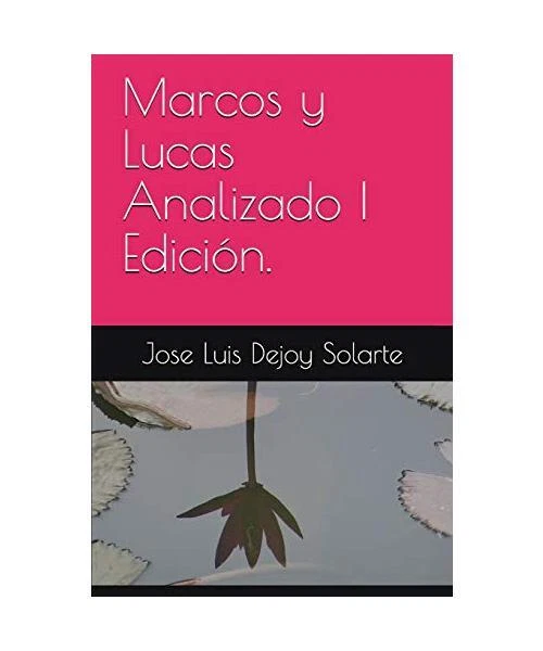 MARCOS Y LUCAS Analizado I Edición., Jose Luis Dejoy Solarte EUR 6,69 - PicClick FR