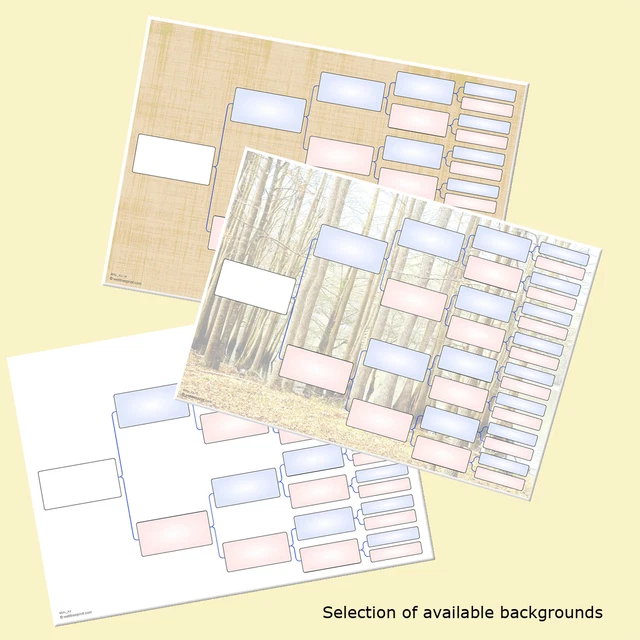 BLANK FAMILY TREE Chart Family Tree Chart Generation Genealogy Poster ...