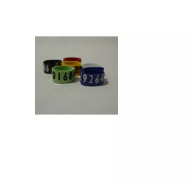 RACING PIGEON ETS Chip Leg Ring (custom made identity) £19.95 - PicClick UK