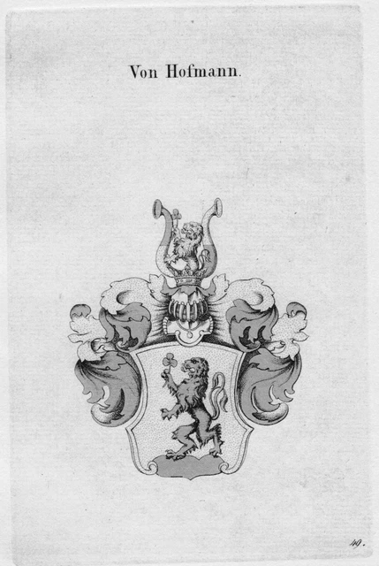 1820 - HOFMANN Armoiries Adel Coat Of Arms Heraldry Héraldique Crest ...