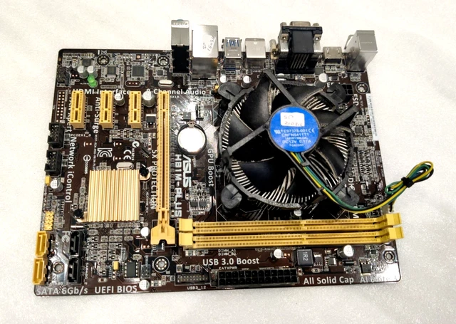 ASUS H81M-PLUS LGA1150 4th Gen DDR3 Micro-ATX Motherboard with CPU fan ...