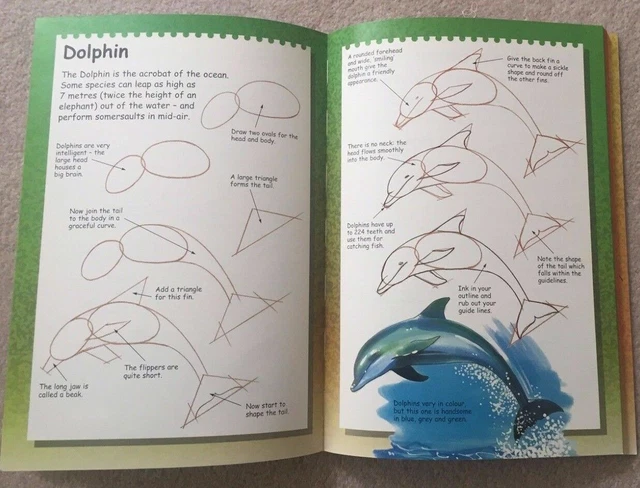 I CAN DRAW by Terry Longhurst + Amanda O'Neil Large H/C Book Like New ...