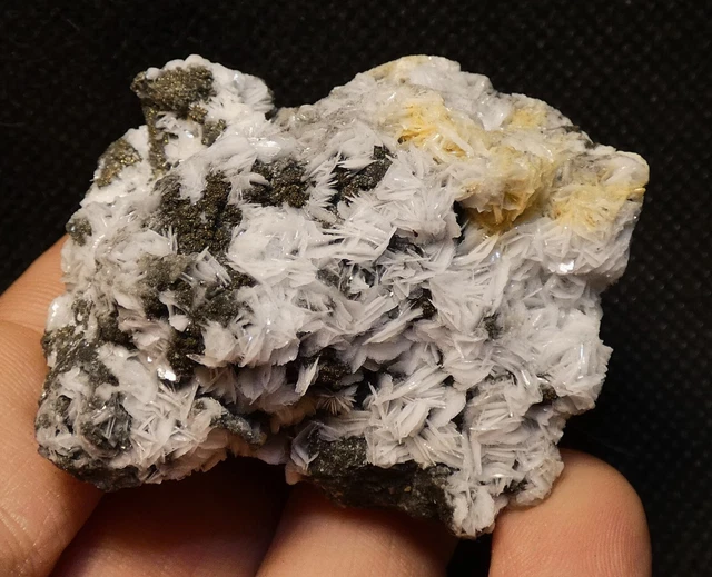 MINERAUX COLLECTION- BARYTE barytine blanche en crête - St Laurent le Minier 73g EUR 19,00 ...