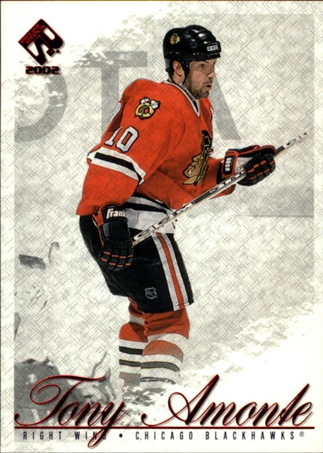 CARTE DE HOCKEY 2001-02 stock privé Chicago Blackhawks #17 Tony Amonte ...