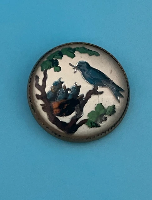 VINTAGE 1920S BLUE Bird Feeding Young Domed Glass Novelty Buttons Pair ...