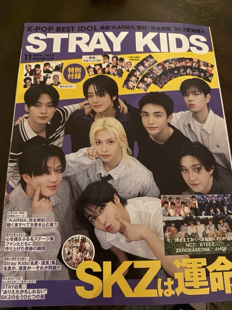 K-POP BEST IDOL November 2025 STRAY KIDS Magazine Japanese £22.34 ...