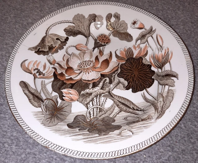 WEDGWOOD WATER LILY Darwin Pattern Creamware Plate -ex Anthony du ...