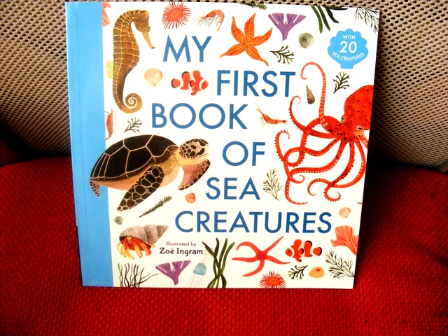 WALKER BOOK- MY first book of sea creatures by zoe ingram ( Paperback ...