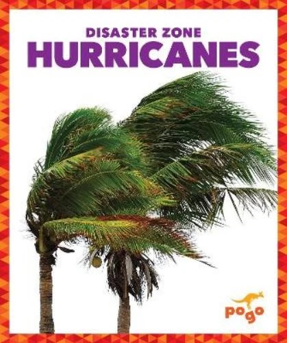 CARI MEISTER HURRICANES (Relié) Disaster Zone EUR 12,22 - PicClick FR