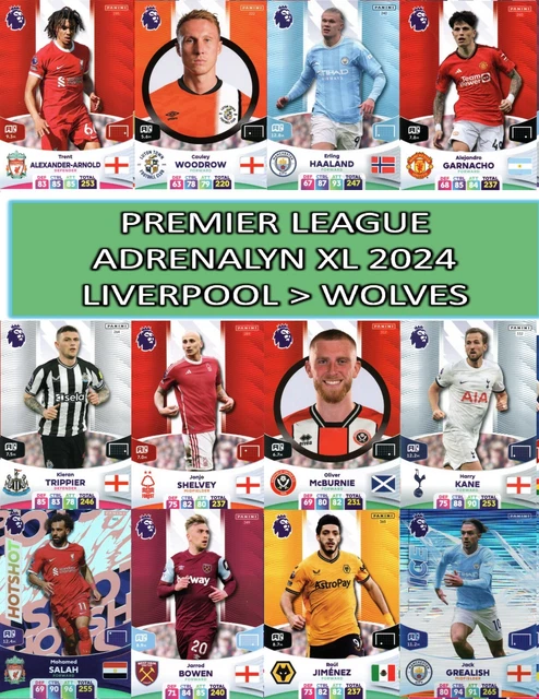 TARJETAS DE EQUIPO Panini Premier League Adrenalyn XL 2024 #190 - #369 EUR 2,54 - PicClick ES
