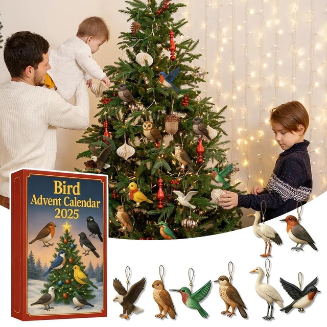 CHRISTMAS ADVENT CALENDAR 2025, 24 Day Countdown, Xmas Countdown 2D ...