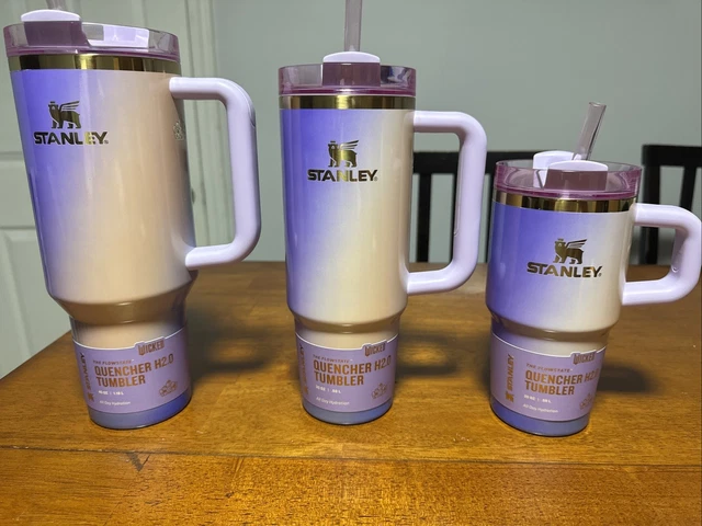 WICKED STANLEY TUMBLER Glinda Set 40,30,20 Oz Limited Edition Target £ ...