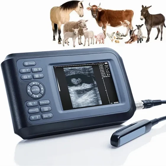 PORTABLE VETERINARY HANDHELD Vet Ultrasound For Horses Cow Sheep Pig V8 ...
