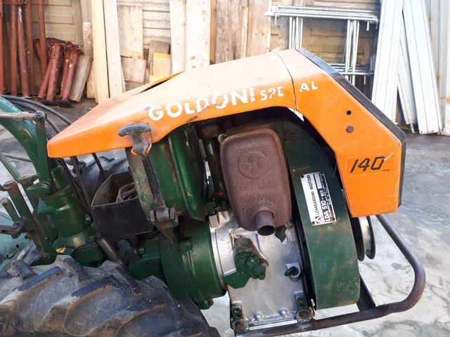 MOTOZAPPA GOLDONI SPECIAL motore lombardini EUR 1.500,00 - PicClick IT