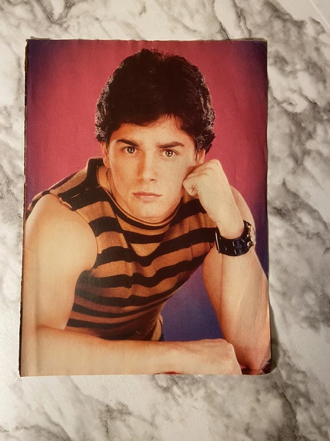 BILLY WARLOCK PINUP From 80’s Teen Magazine. David Hasselhoff. £4.49 ...