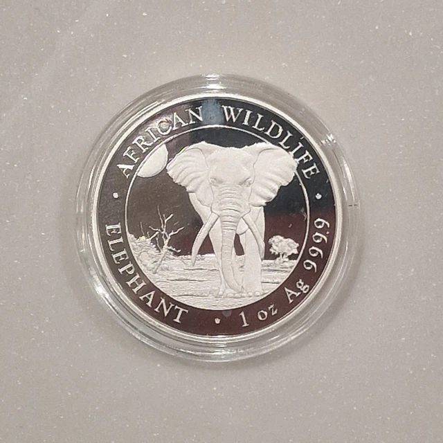 2025 1OZ FINE Silver Coin Somali African Wildlife Elephant .999 - In Capsule £38.99 - PicClick UK