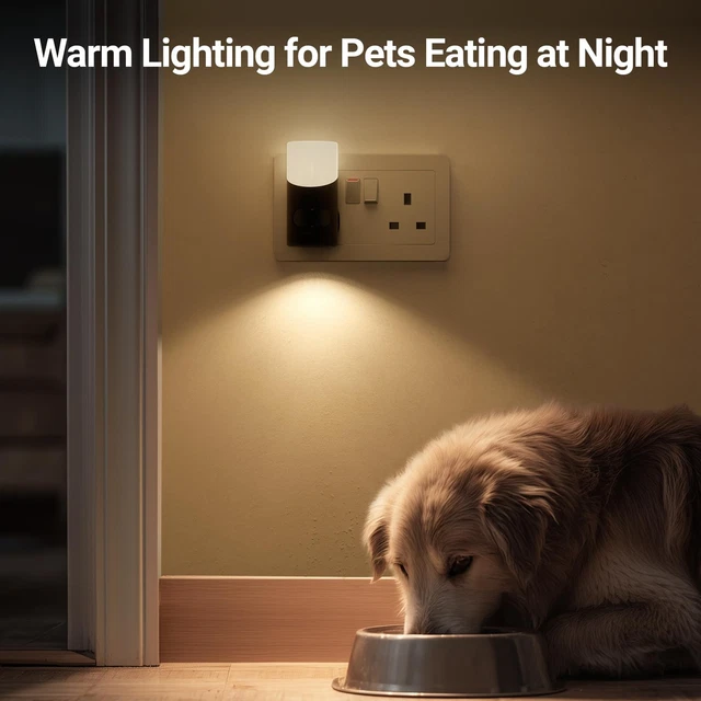 MOTION SENSOR NIGHT Light Plug In Dimmable Warm White Up & Down Glow ...