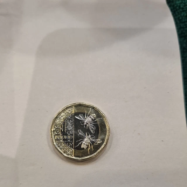 2025 £1 ONE Pound Coin Bees Uncirculated - In Stock From Sealed Bag £4. ...