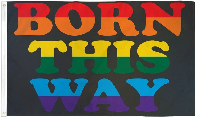 BORN THIS WAY Flag 3x5ft LGBTQIA LGBT Gay Pride Lady Gaga Rainbow Pride ...