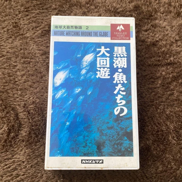 KUROSHIO CURRENT & Fish Evasion Wildlife Documentary NHK Video Set 3 ...