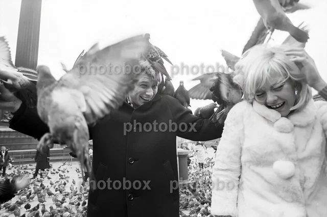 * JOHNNY HALLYDAY - Exclusive RARE PHOTO N 711 * Sylvie Vartan EUR 9,50 - PicClick FR