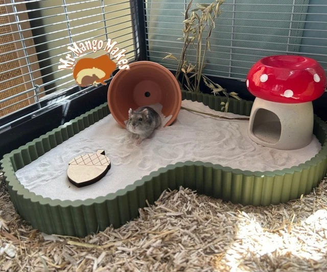 HAMSTER SAND BATH Dig Box, Small Animal Sand Bath, Small Animal ...