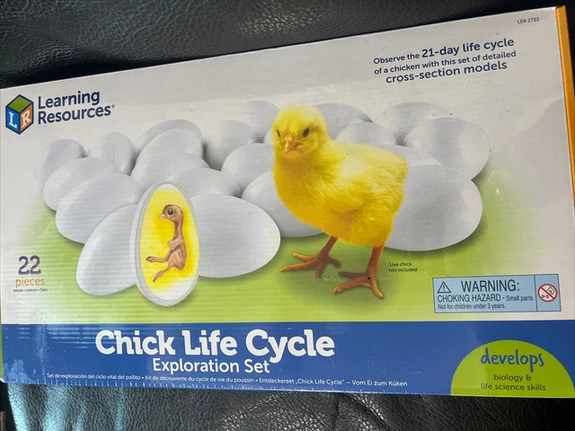 LEARNING RESOURCES CHICK Life Cycle Educational Children’s Exploration ...
