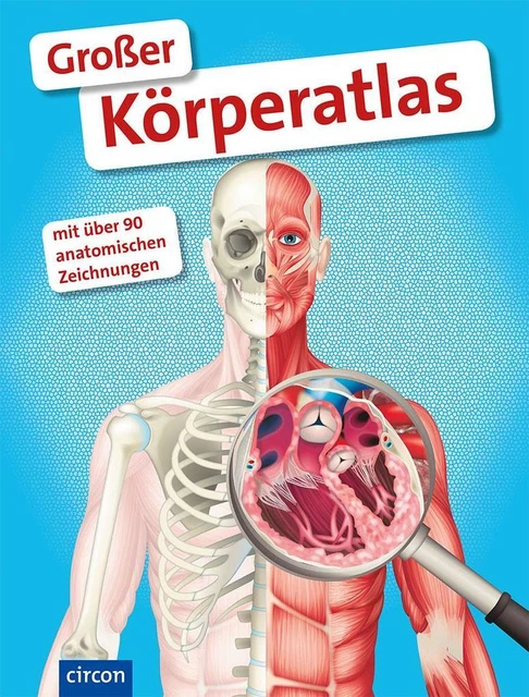 GROSSER KÖRPERATLAS | Stefanie Zysk, Dr. Stefanie Zysk | 2015 | deutsch ...