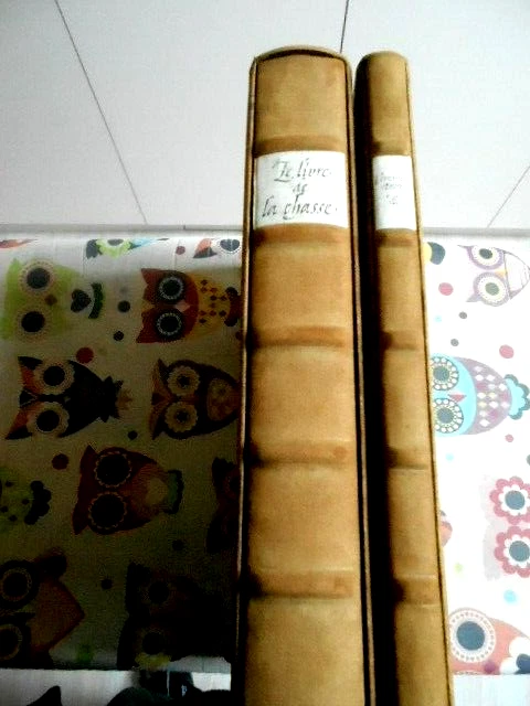 LE LIVRE DE LA CHASSE GASTON PHOEBUS Manuscrit français 616 de la BN ...