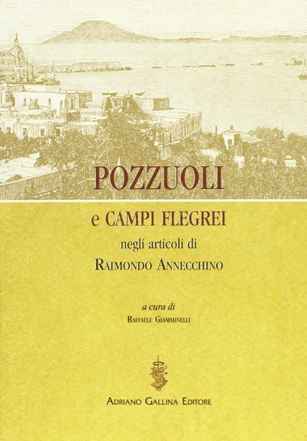 3544064 3320588 LIBRI Raimondo Annecchino - Pozzuoli E Campi Flegrei Negli Artic EUR 16,60 ...